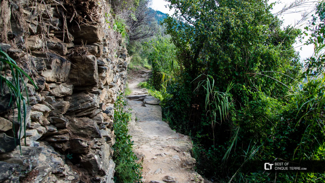 Sentiers. Le sentier bleu de Monterosso à Vernazza